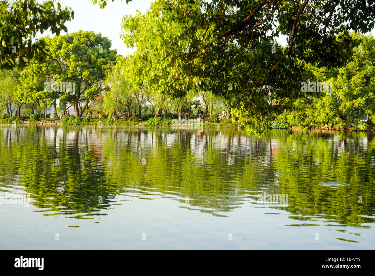 Spring color of West Lake Scenic Area Stock Photo - Alamy