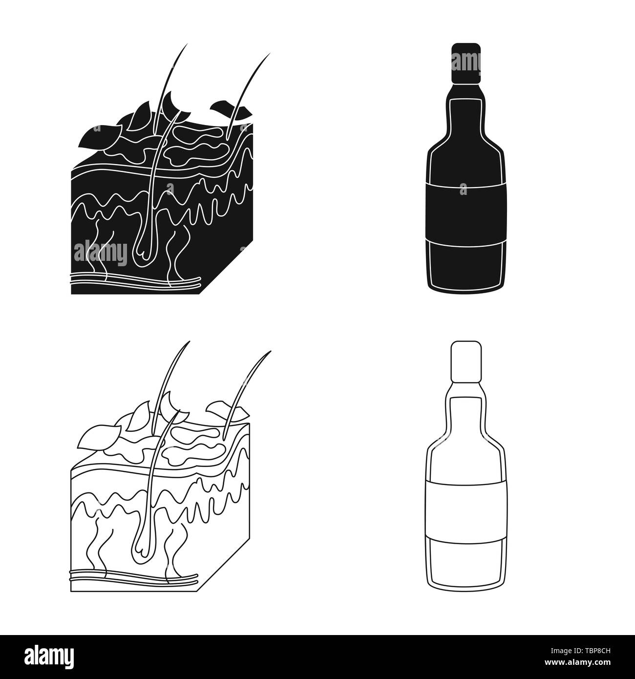 skin,epidermis,bottle,adipose,whiskey,tissue,alcohol,anatomy,drink,pore ...