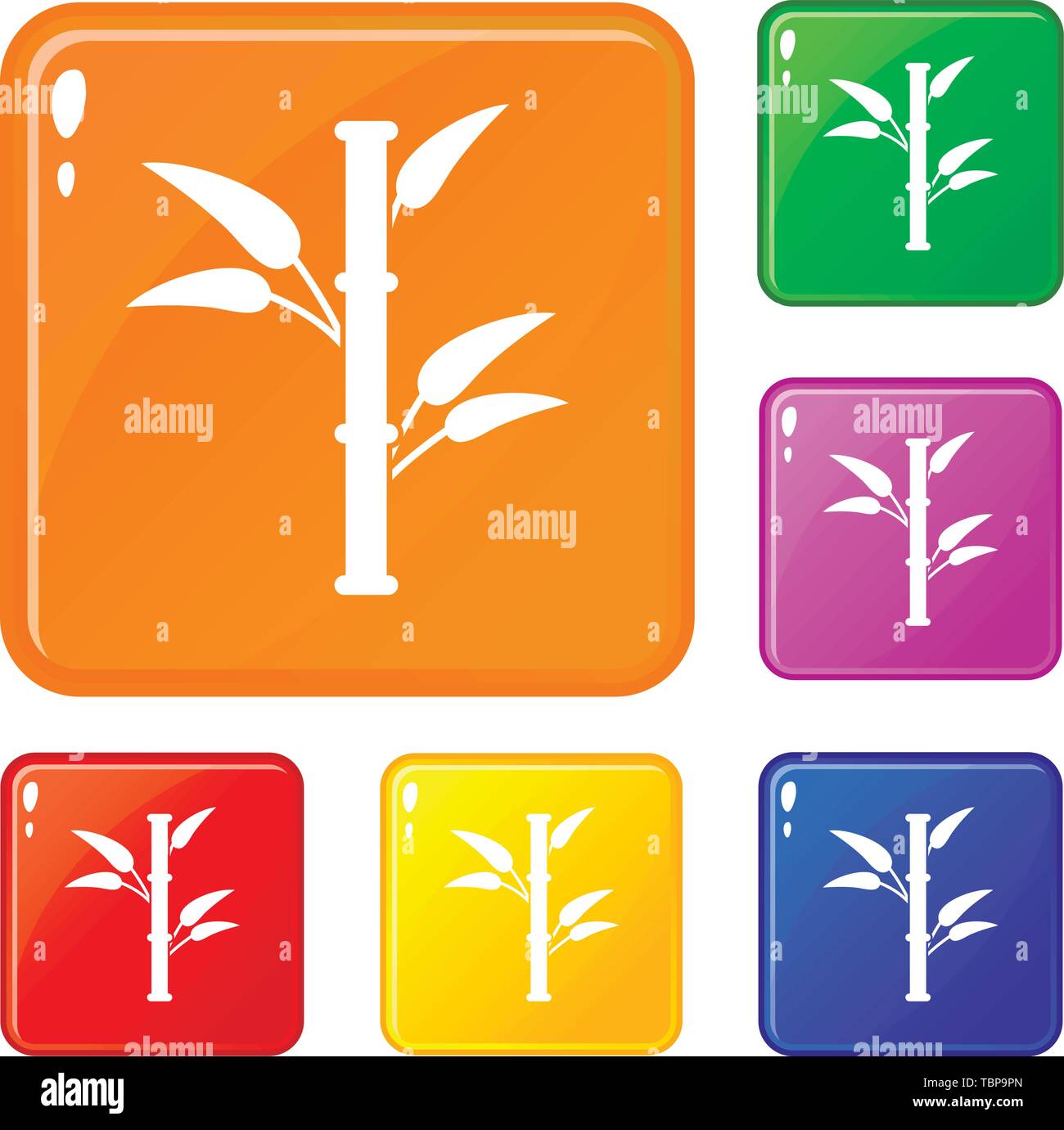 Bamboo icons set vector color Stock Vector Image & Art - Alamy