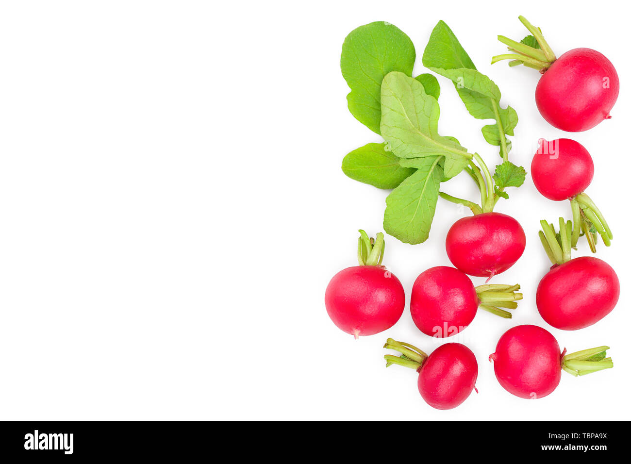 fresh whole radish isolated on white background with copy space for ...