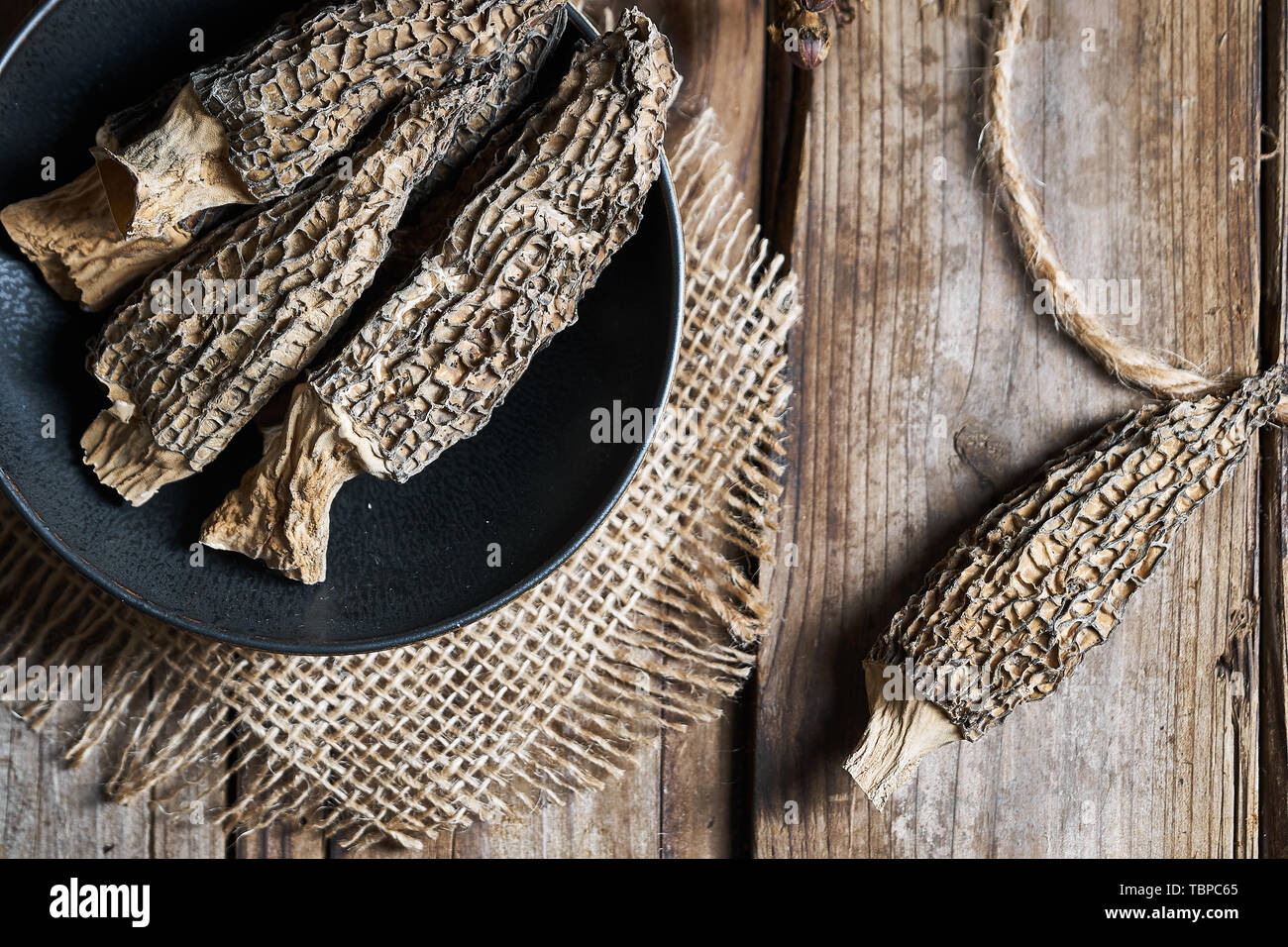 Mycelium fungi pattern hi-res stock photography and images - Alamy