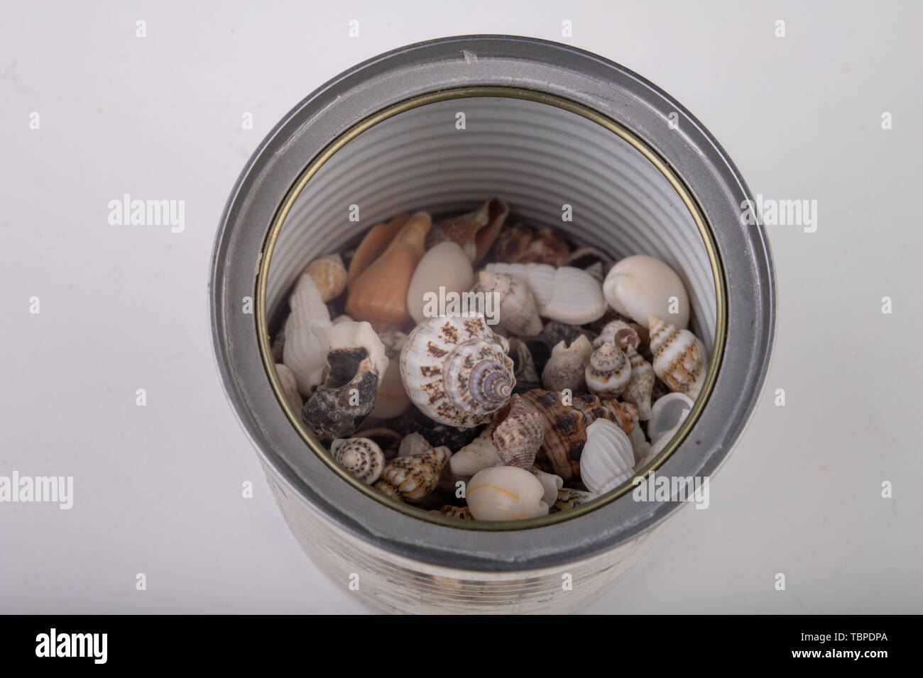 Small snail shells sprinkled out of the can. Shells in a metal ...