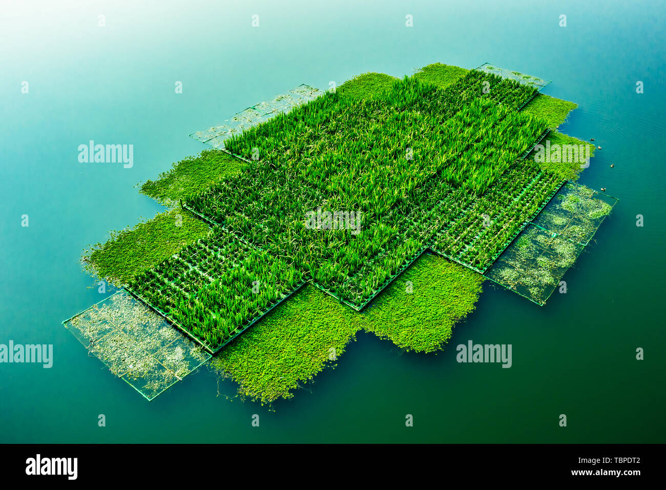 Dongyang city hi-res stock photography and images - Alamy