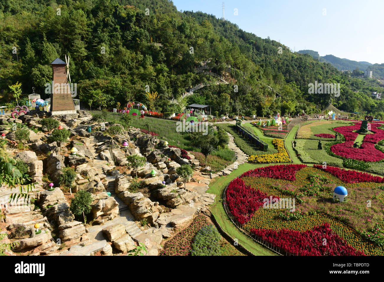 Flower sea scenery Stock Photo - Alamy
