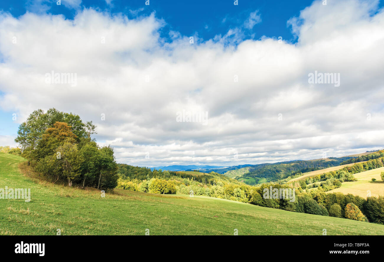 Windy weather trees hi-res stock photography and images - Alamy