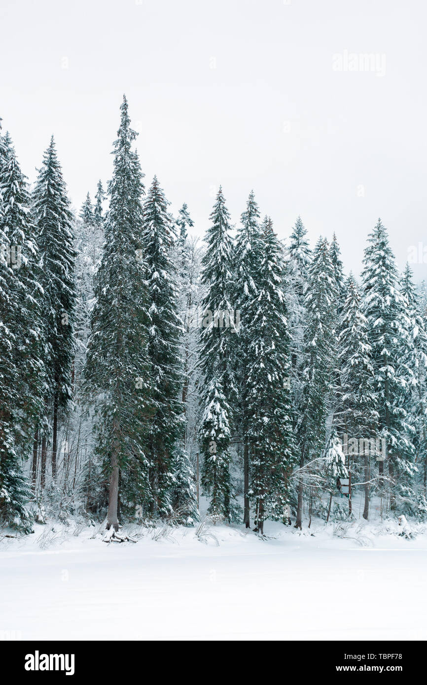 Gloomy weather hi-res stock photography and images - Alamy