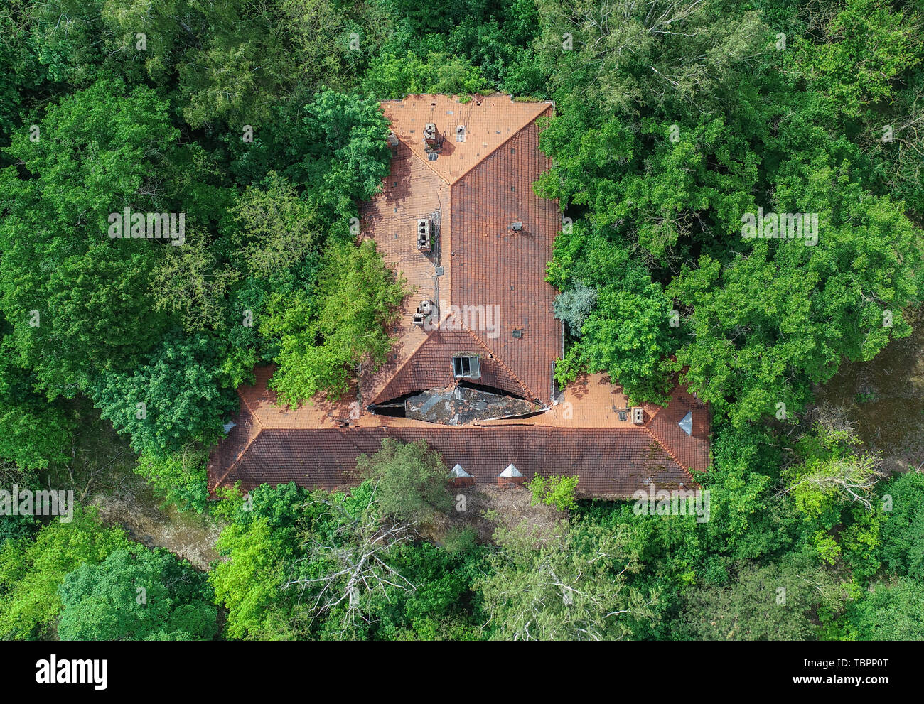 Wunsdorf, Deutschland. 29th May, 2019. 29.05.2019, Brandenburg ...