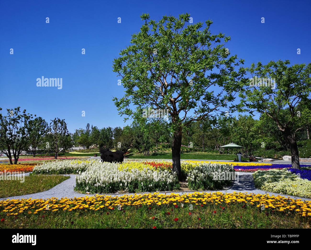 Beijing, China. 3rd June, 2019. Photo taken with a mobile phone shows a ...