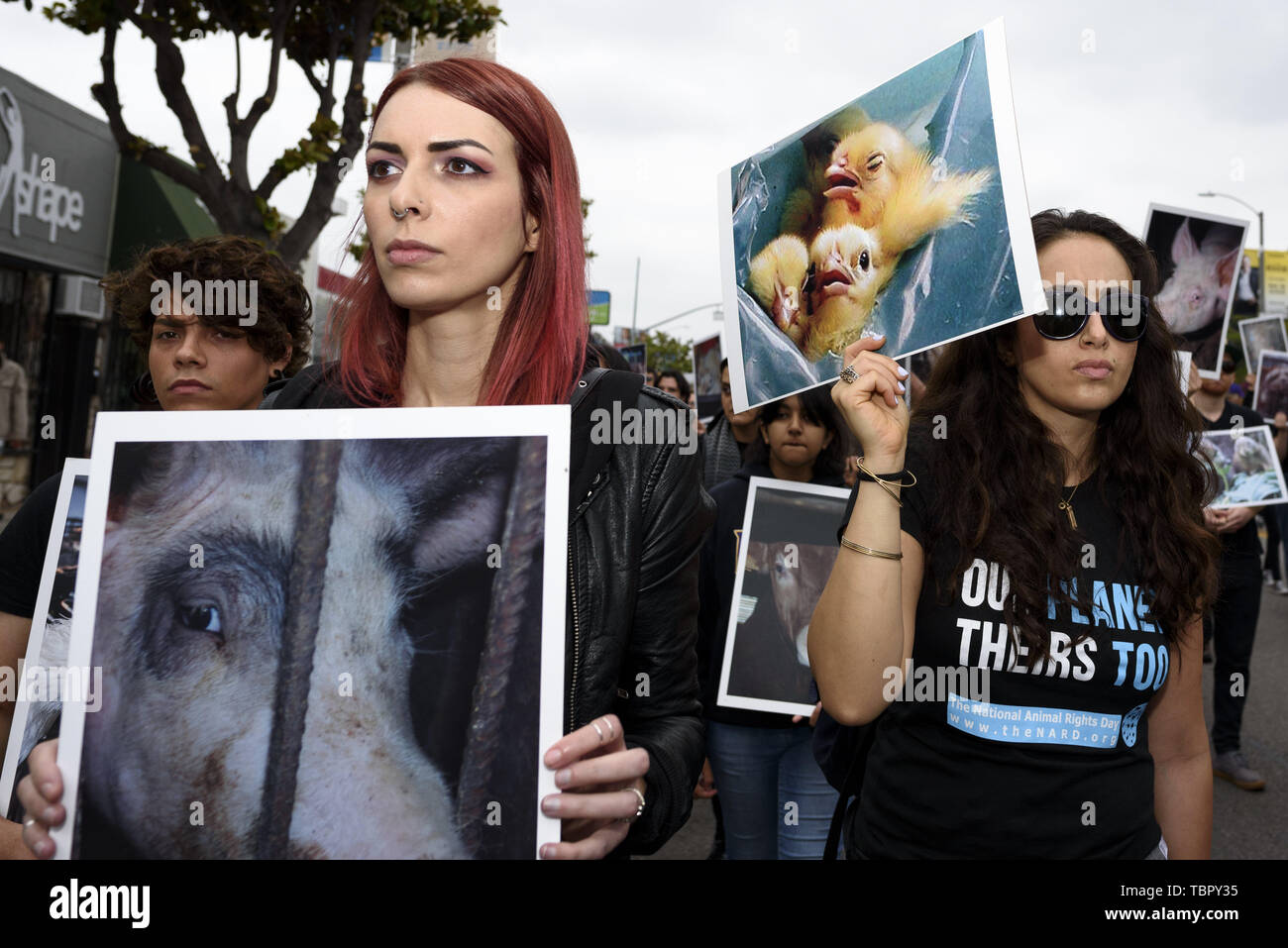 Animal rights day hi-res stock photography and images - Alamy