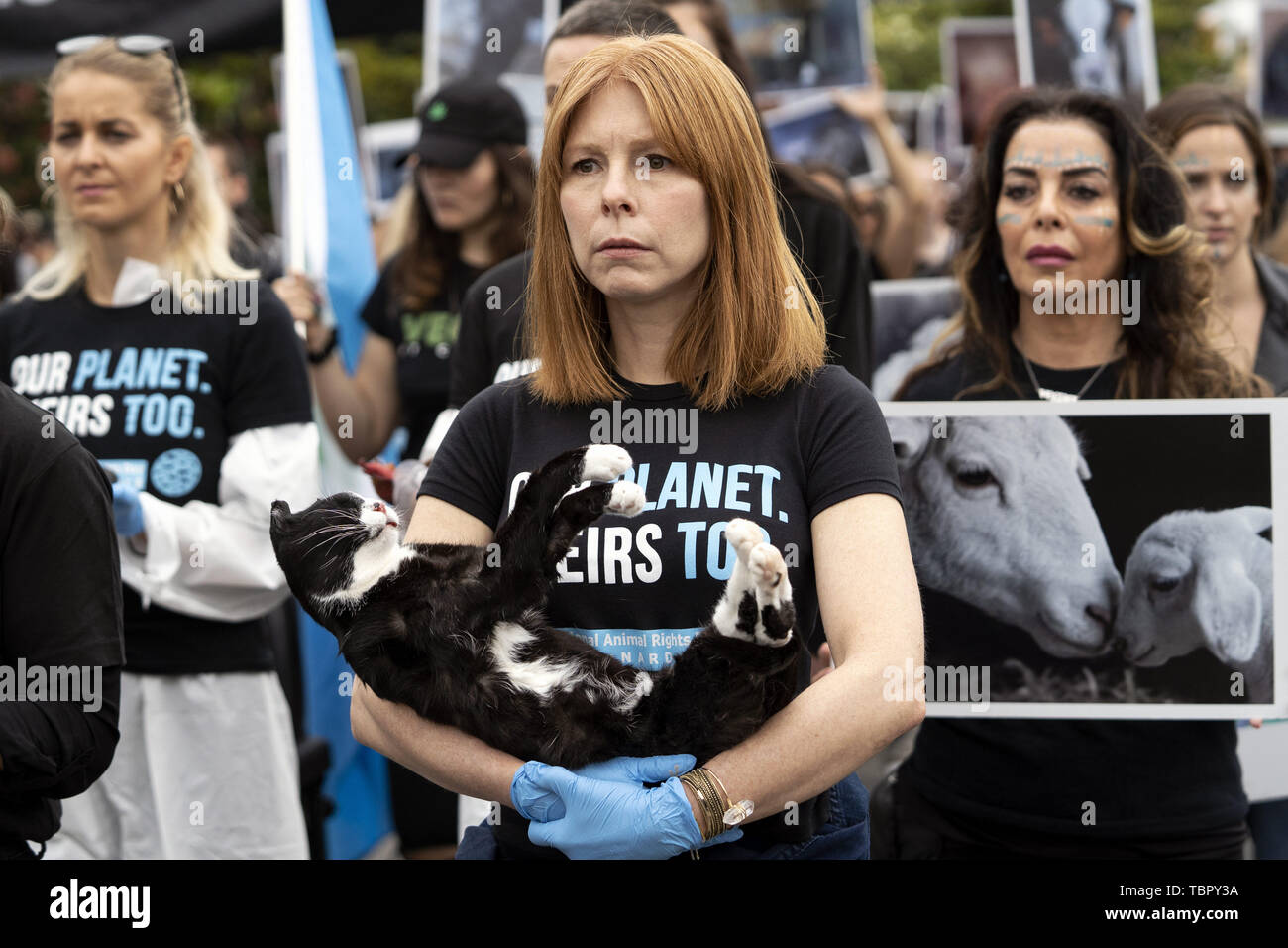 March 15, 2019 - Los Angeles, California, United States - An animal ...