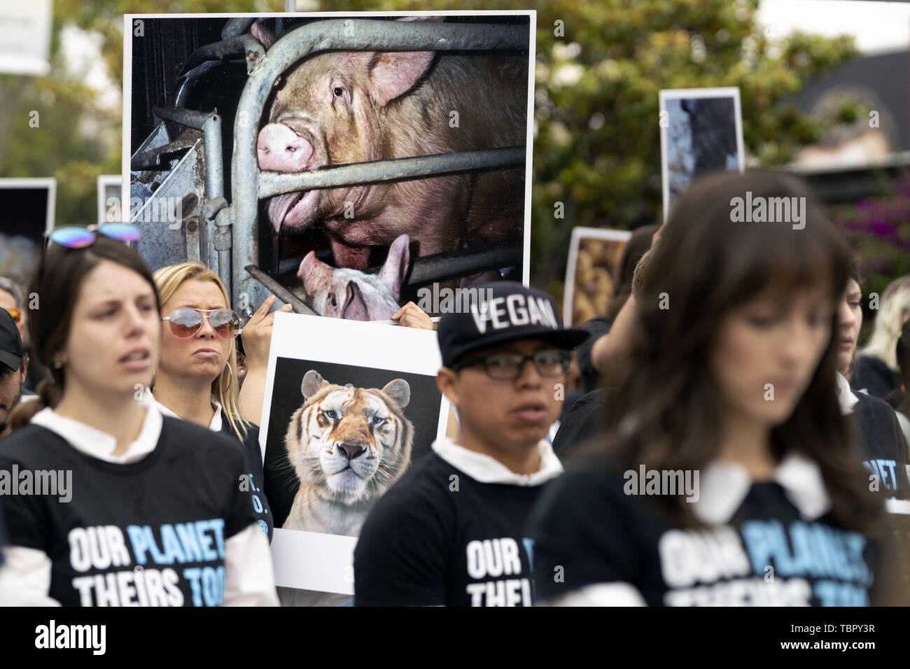 March 15, 2019 - Los Angeles, California, United States - Animal rights ...