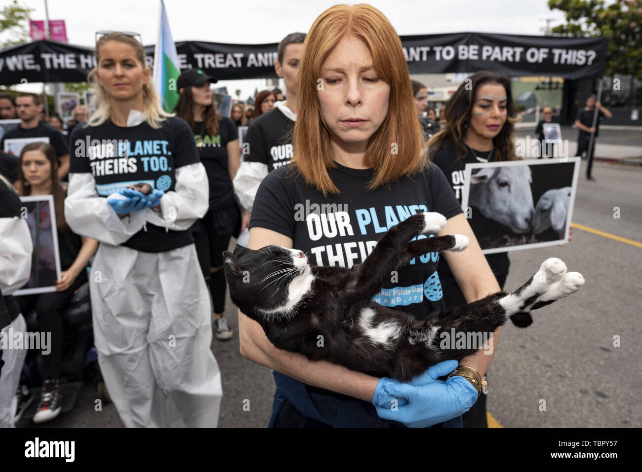 March 15, 2019 - Los Angeles, California, United States - An animal ...