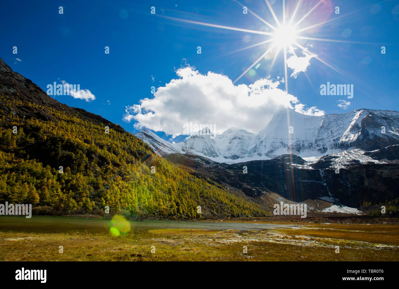 Rice City Aden Scenery, photographed in Taocheng Aden on October 16 ...