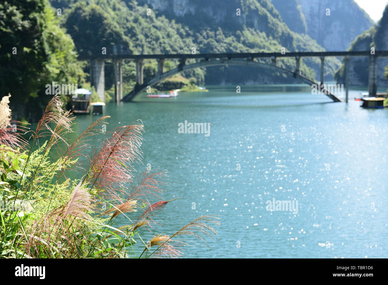 River bridge landscape Stock Photo - Alamy