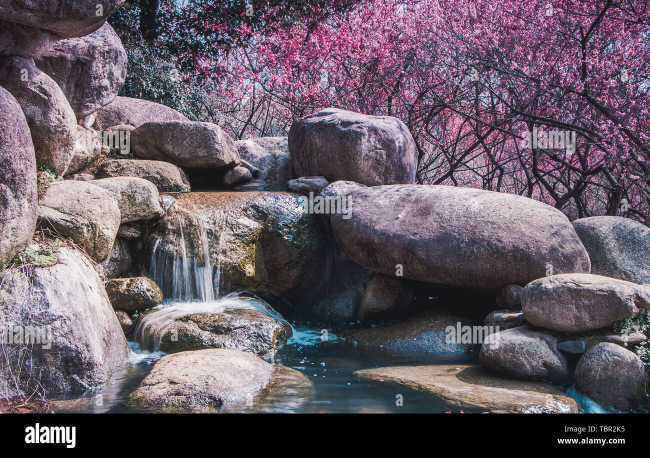 East Lake Mei Yuen Stock Photo - Alamy