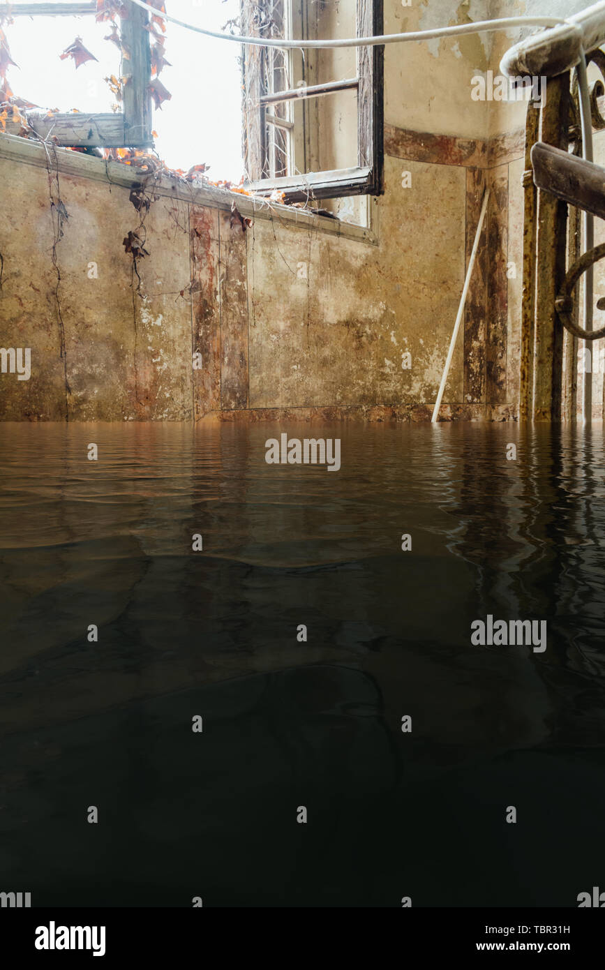 Flooded derelict staircase with sunlight coming through window Stock ...