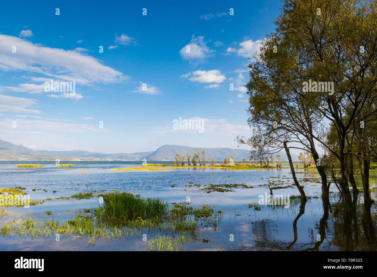 Dali river hi-res stock photography and images - Alamy