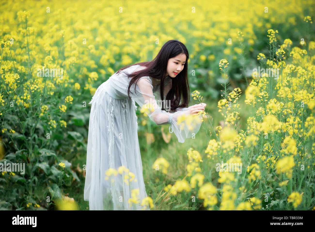 Goddess Of Beauty Stock Photos & Goddess Of Beauty Stock Images - Alamy