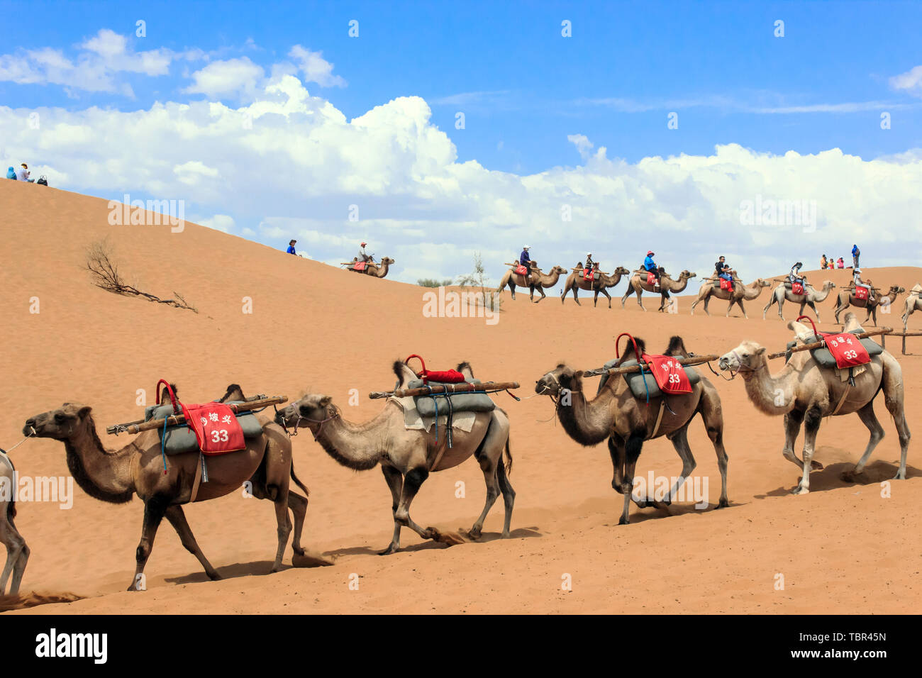 Natural Landscape of Sapotou, Ningxia Stock Photo - Alamy