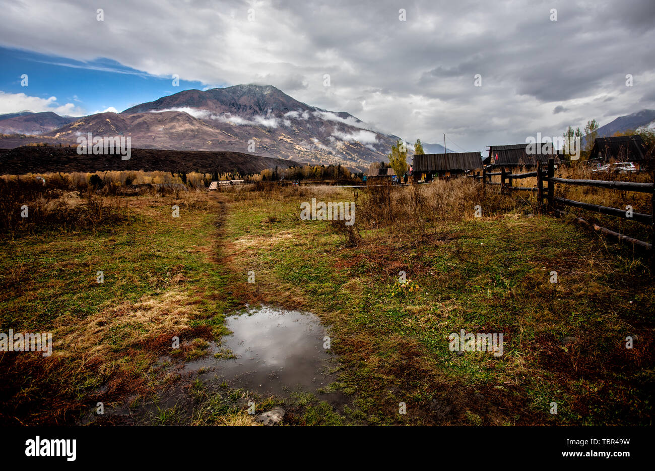 Autumn color of grasses Stock Photo - Alamy