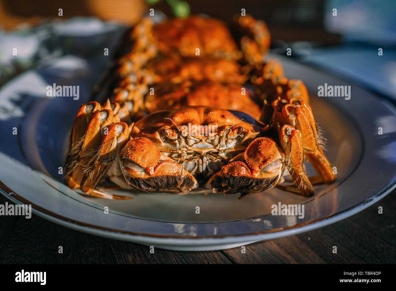 Yangcheng lake hairy crabs hi-res stock photography and images - Alamy