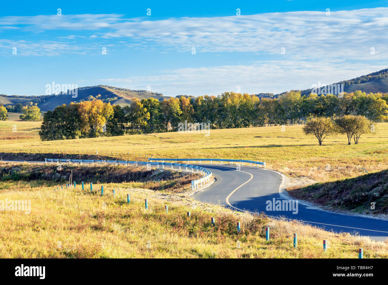 Paddock dam hi-res stock photography and images - Alamy