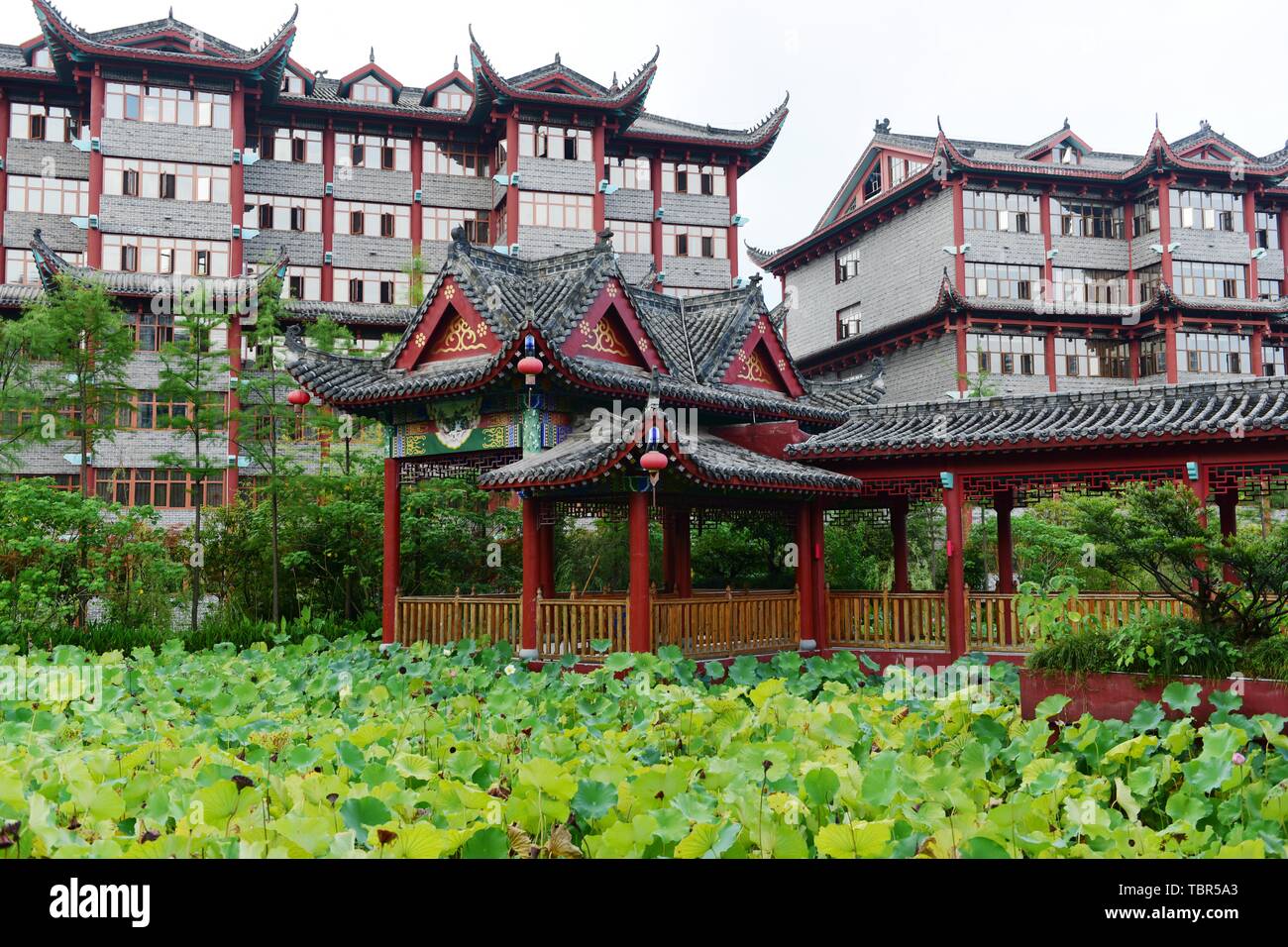 Antique architecture and lotus pavilion lotus Stock Photo - Alamy