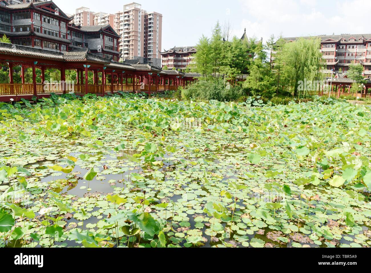 Antique architecture and lotus pavilion lotus Stock Photo - Alamy