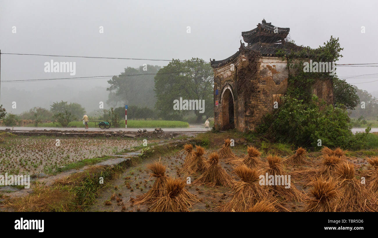 In the rain, buildings harvest farming villages Stock Photo - Alamy