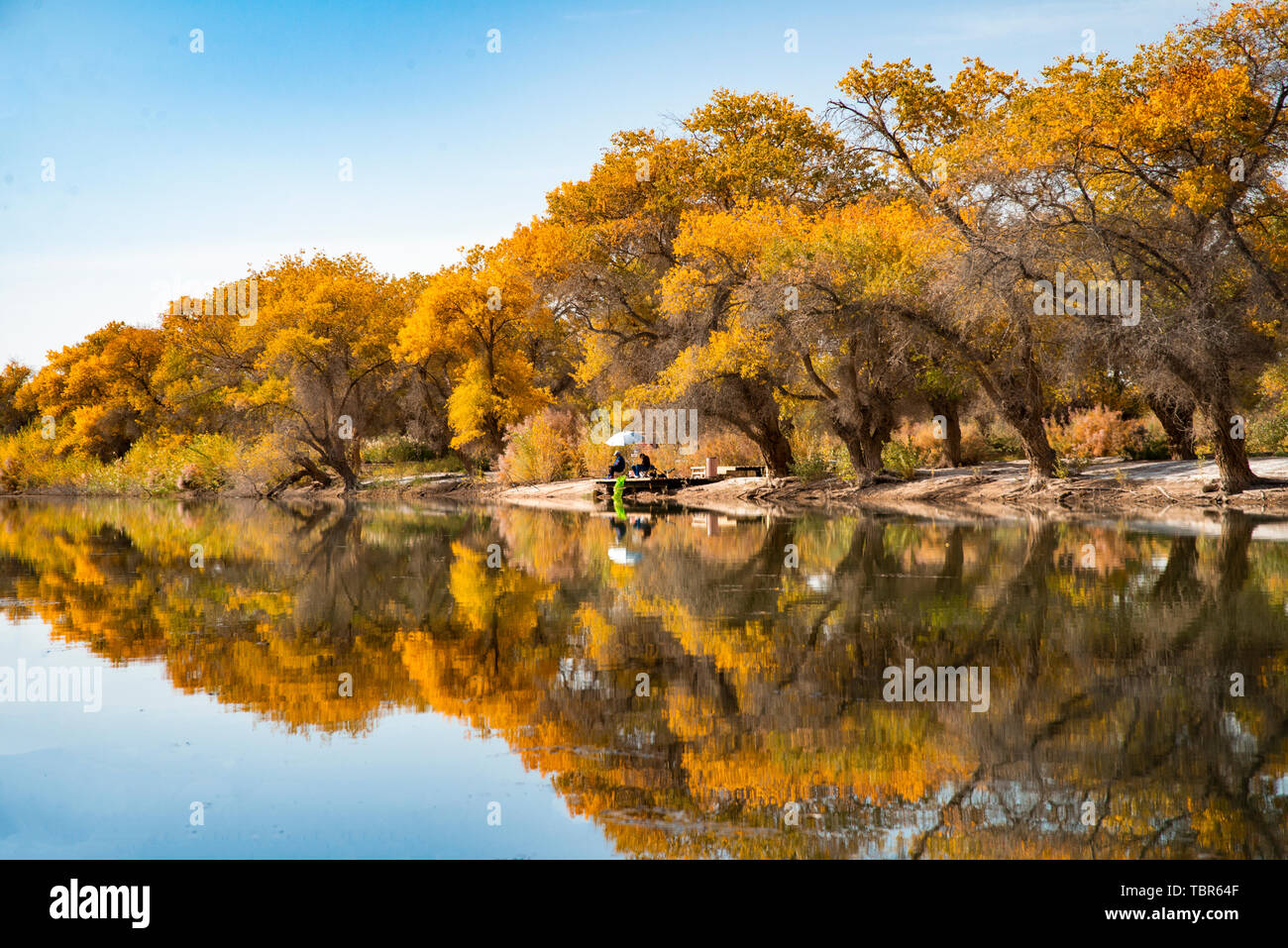 Lin yang hi-res stock photography and images - Alamy