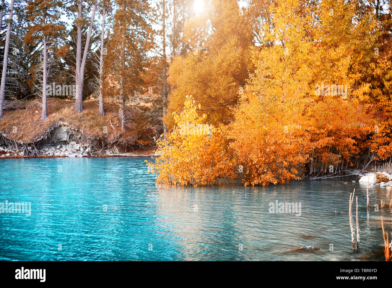 Comfort weather park with scenic scenery hi-res stock photography and ...