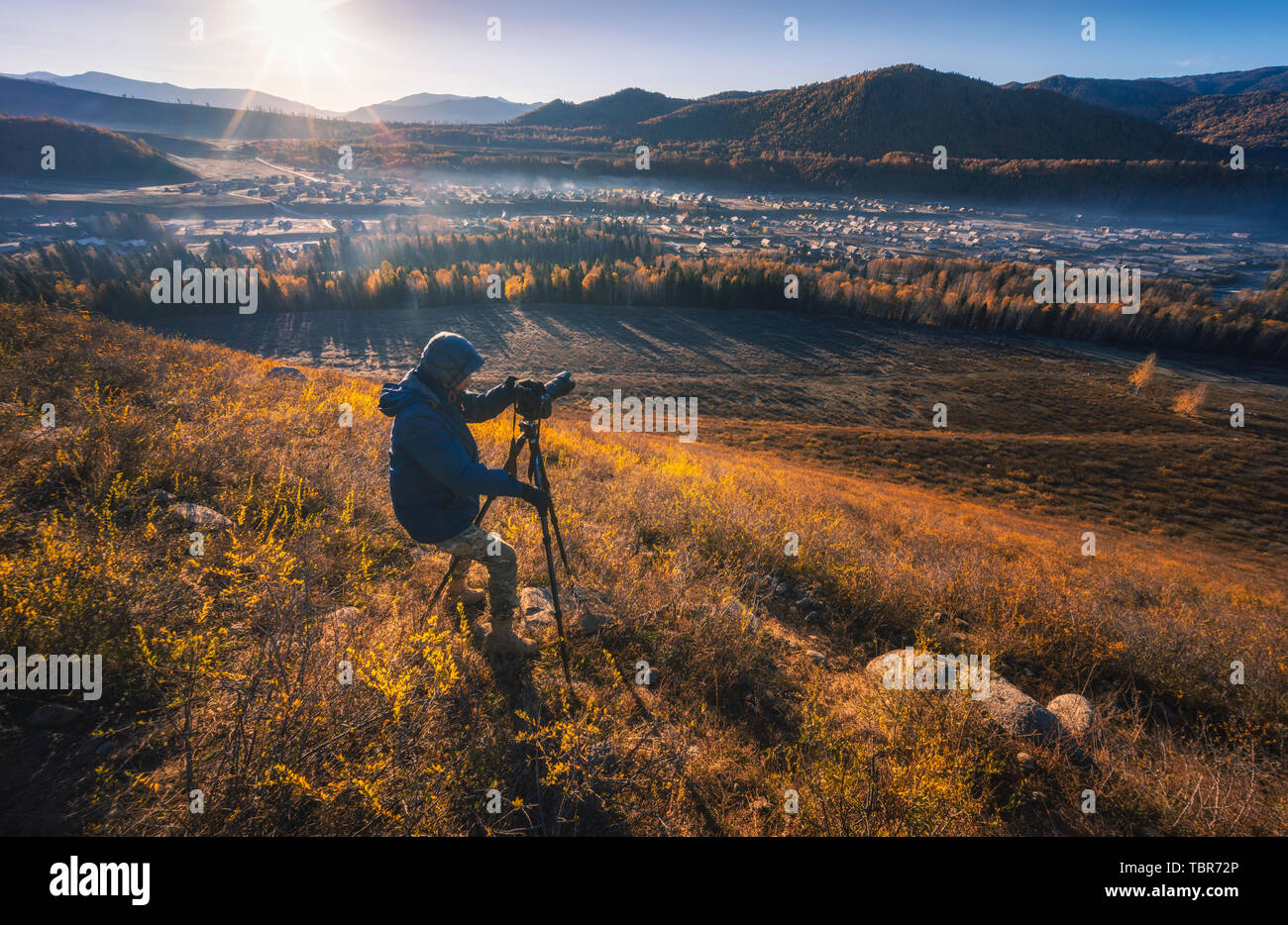 Autumn color of grasses Stock Photo - Alamy