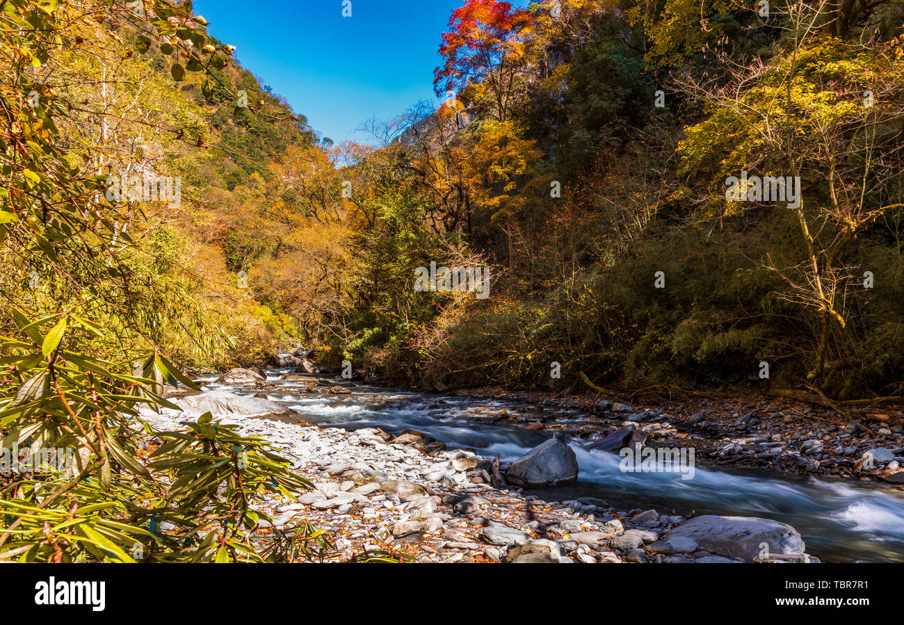Outdoor wolong hi-res stock photography and images - Alamy