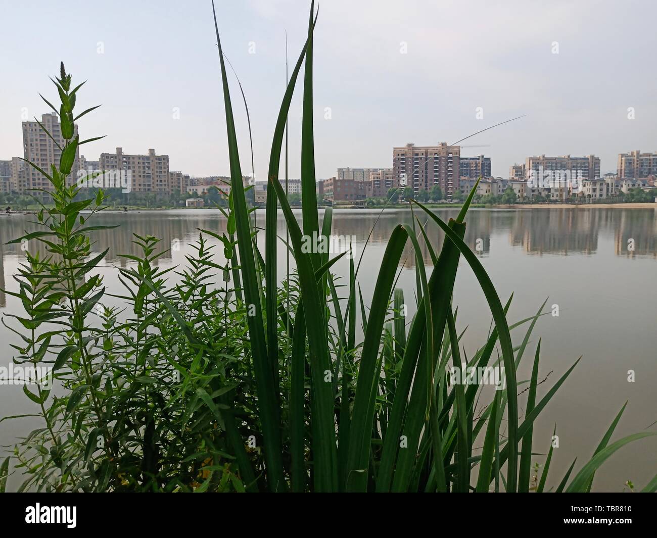 Limitless environment hi-res stock photography and images - Alamy