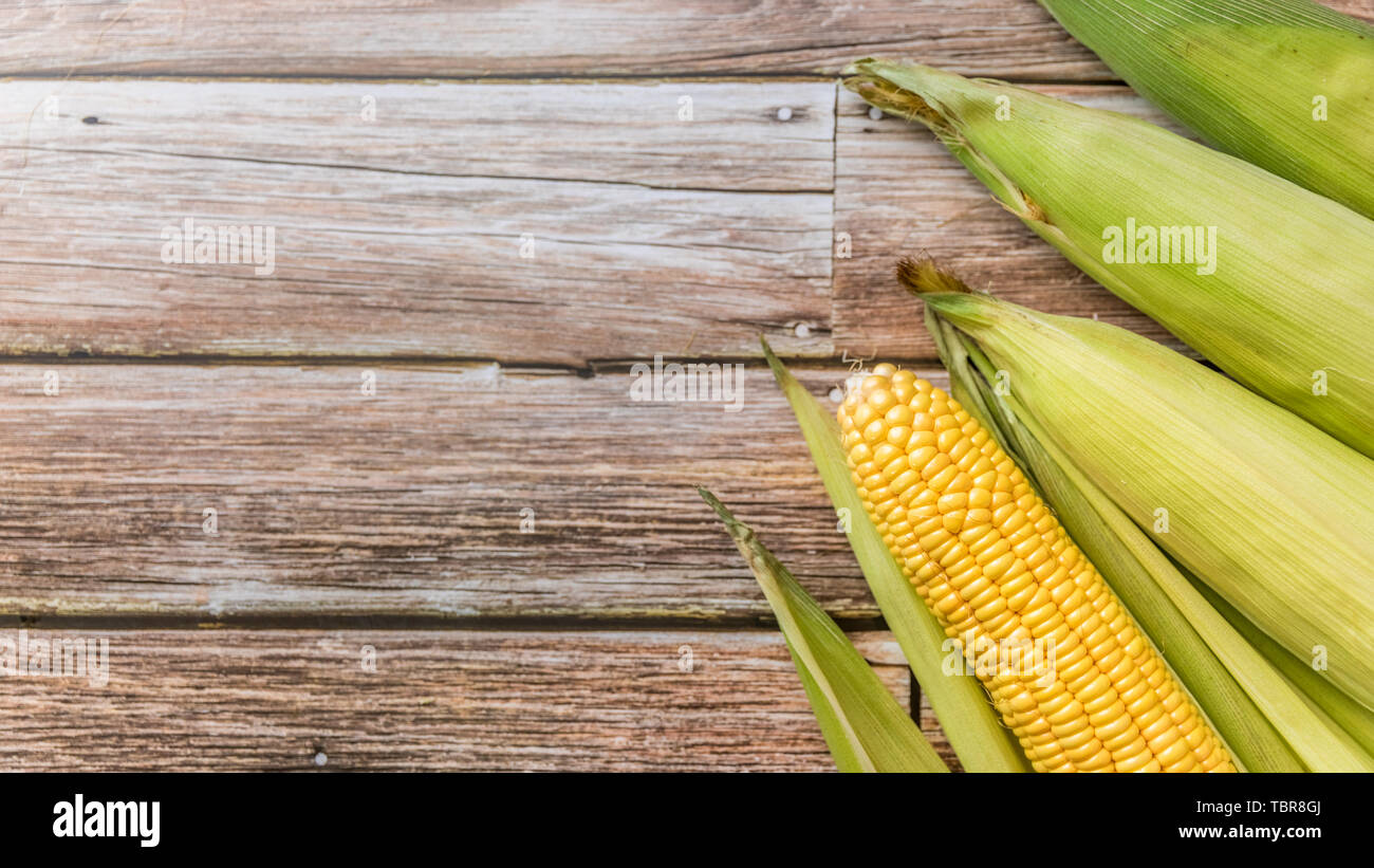 A close-up of corn still Stock Photo - Alamy