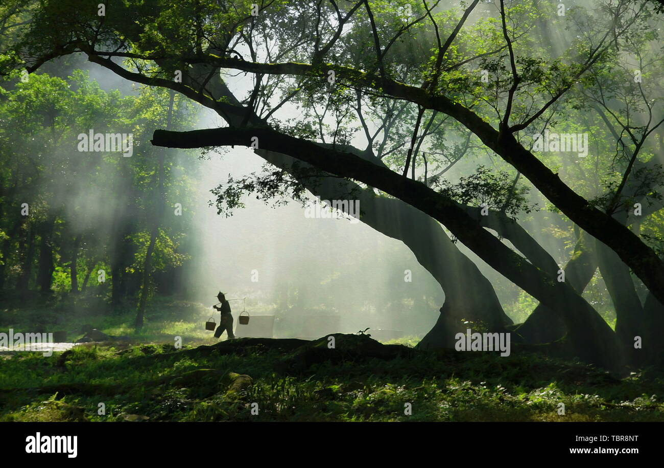 Creative pictures include scenery, architecture, animals, etc Stock ...