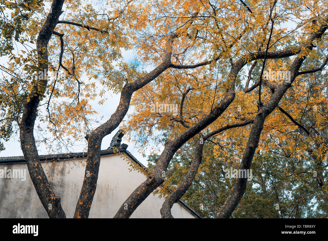 Tranquility tranquility suzhou gardens in gusu suzhou gardens in gusu ...
