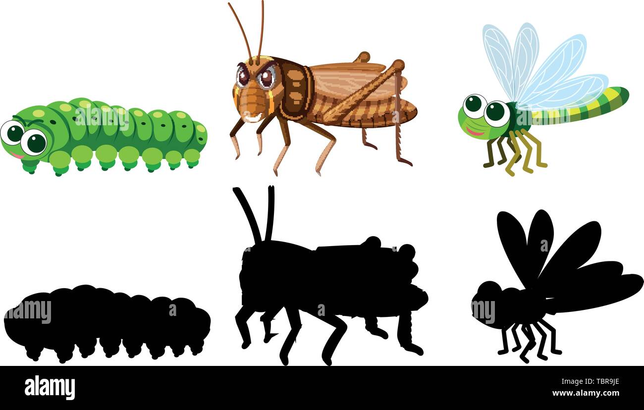 Set of insect character illustration Stock Vector Image & Art - Alamy