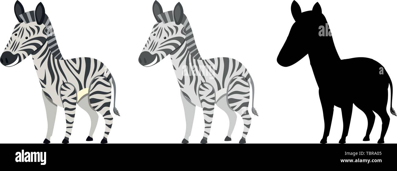 Set of zebra character illustration Stock Vector Image & Art - Alamy