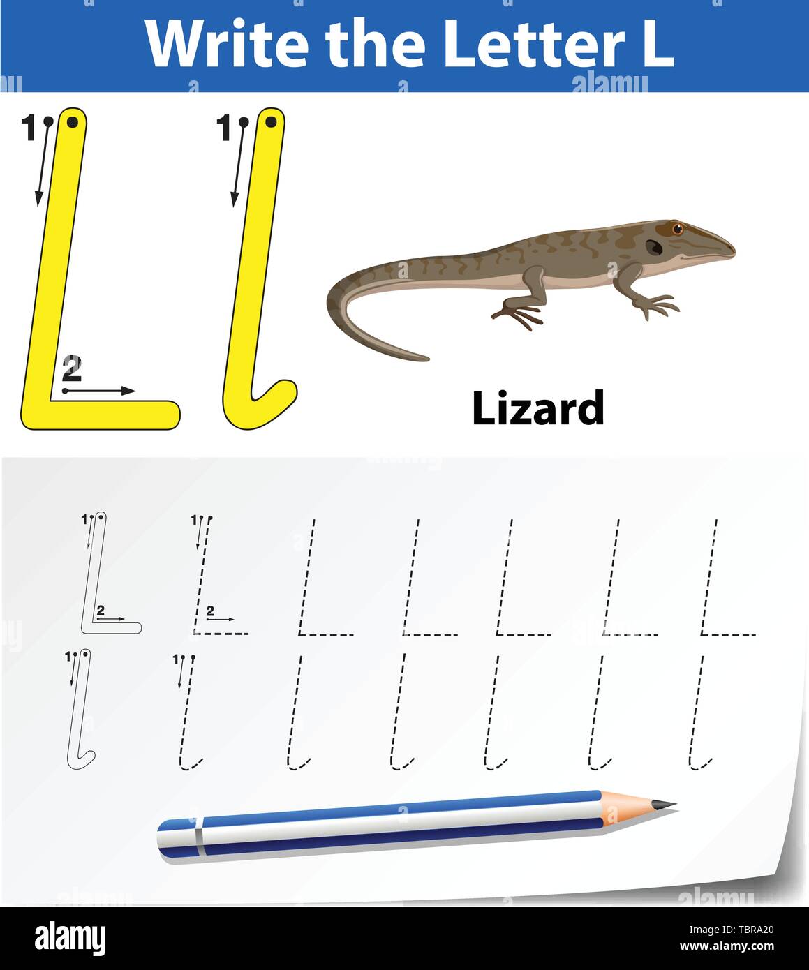 Trace the letter L illustration Stock Vector Image & Art - Alamy