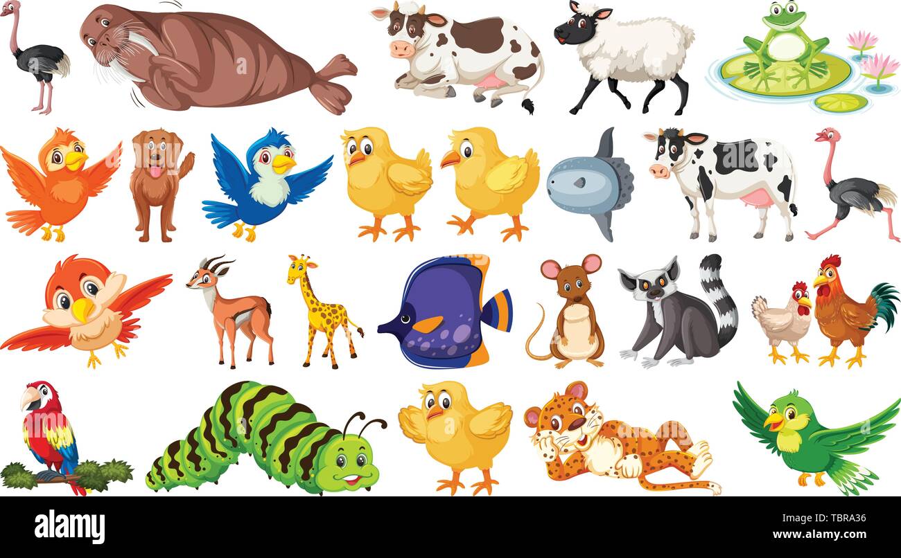 Set of animal character illustration Stock Vector Image & Art - Alamy