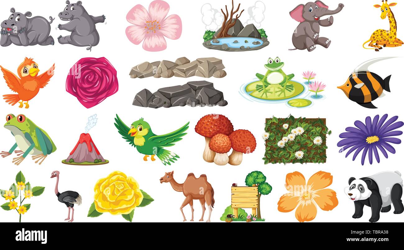 Set of animal and plant illustration Stock Vector Image & Art - Alamy