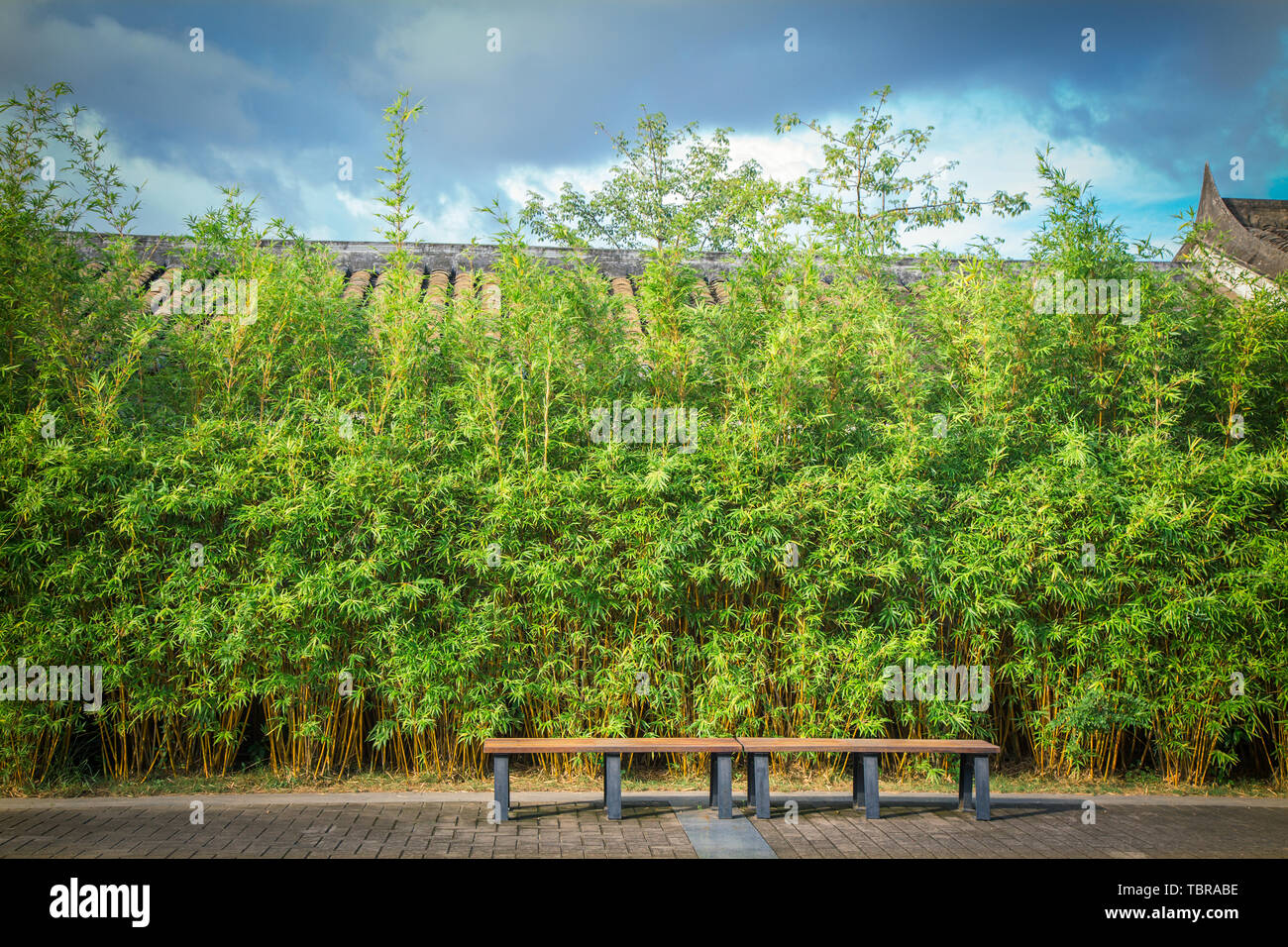 Guanlan Printmaking Village High Resolution Stock Photography and ...