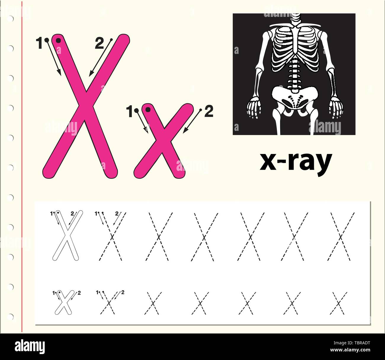 Letter X tracing alphabet worksheets illustration Stock Vector Image ...