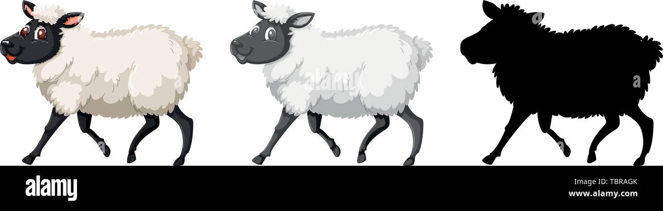 Set of sheep character illustration Stock Vector Image & Art - Alamy