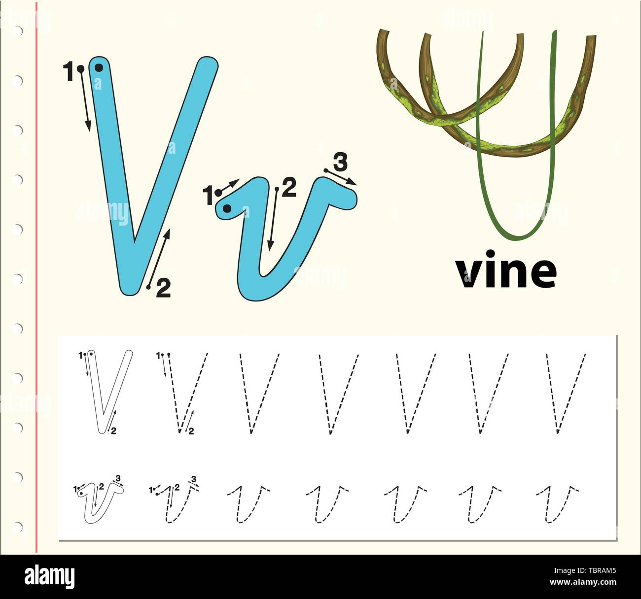 Trace the letter V illustration Stock Vector Image & Art - Alamy