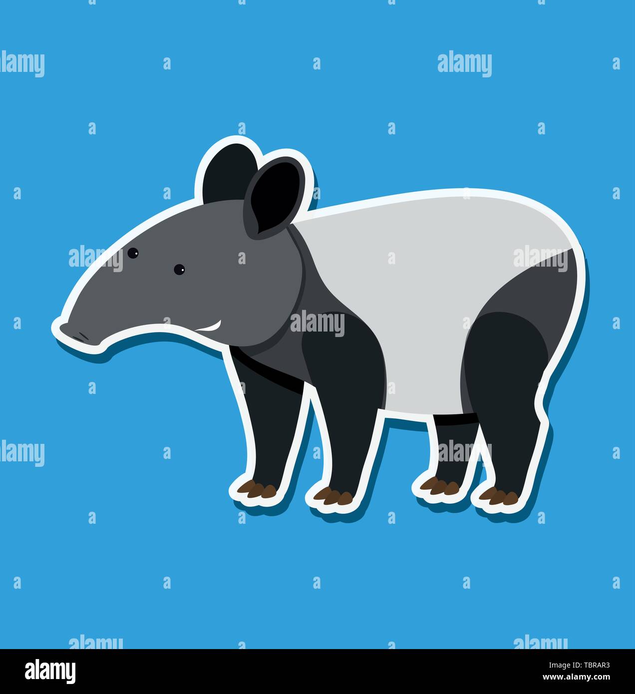 Picture of a tapir Stock Vector Images - Alamy