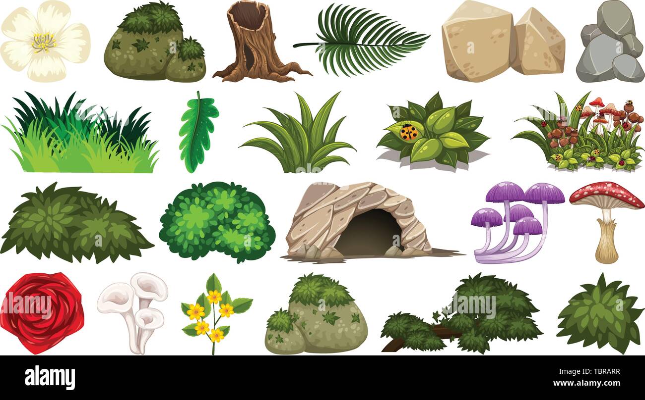 Set of nature objects illustration Stock Vector Image & Art - Alamy
