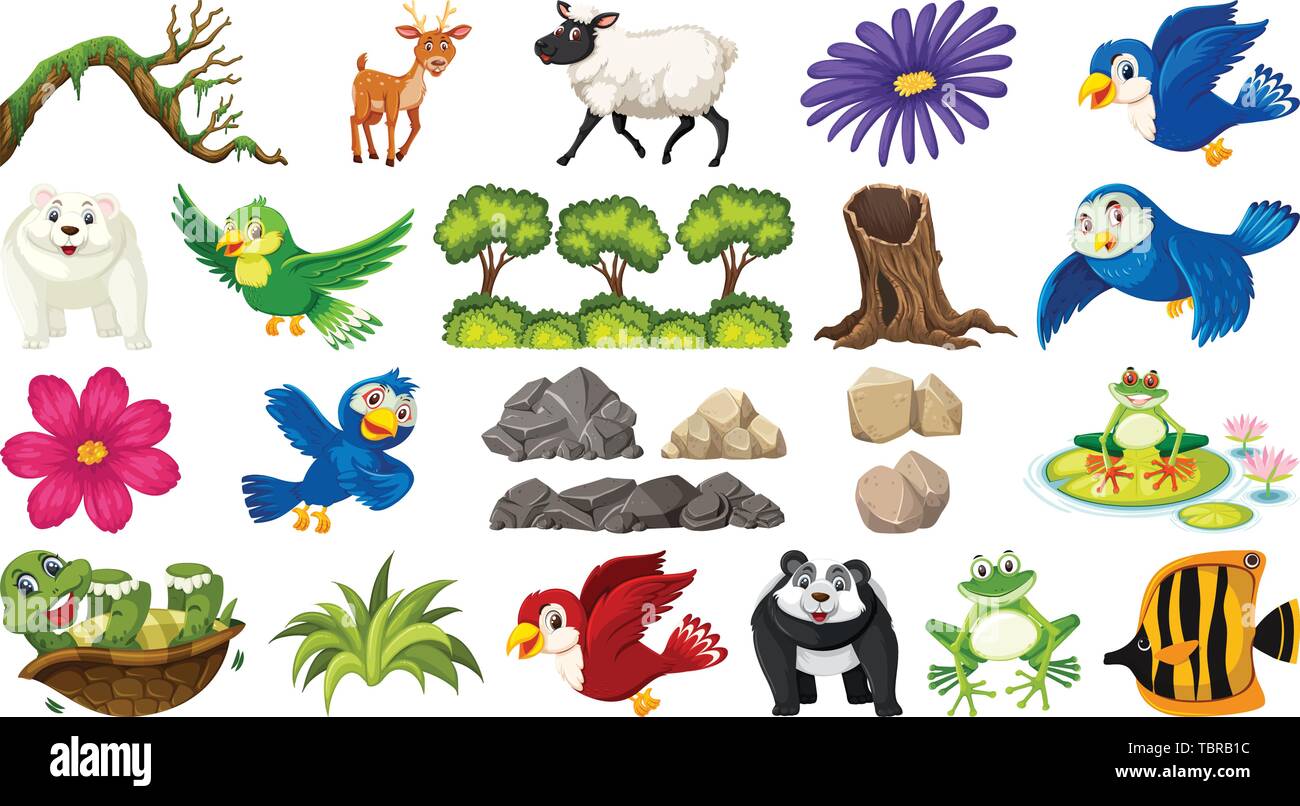 Set of animal and plant illustration Stock Vector Image & Art - Alamy