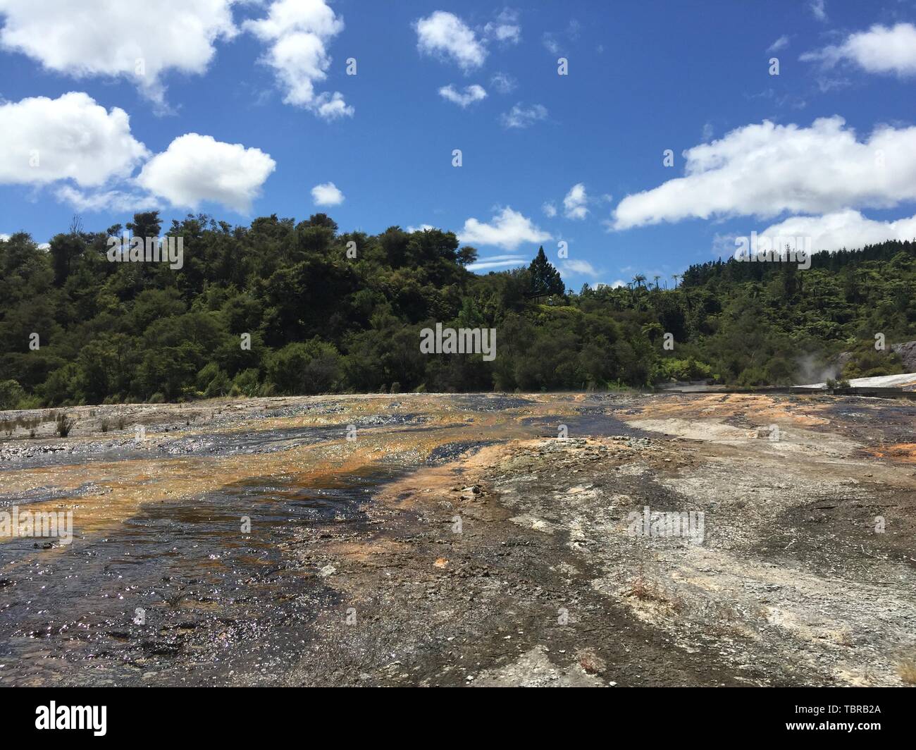 Geothermal geothermal in New Zealand Geopark Stock Photo - Alamy